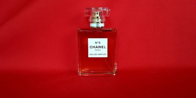9 Surprising Facts About Chanel - The Fact Shop